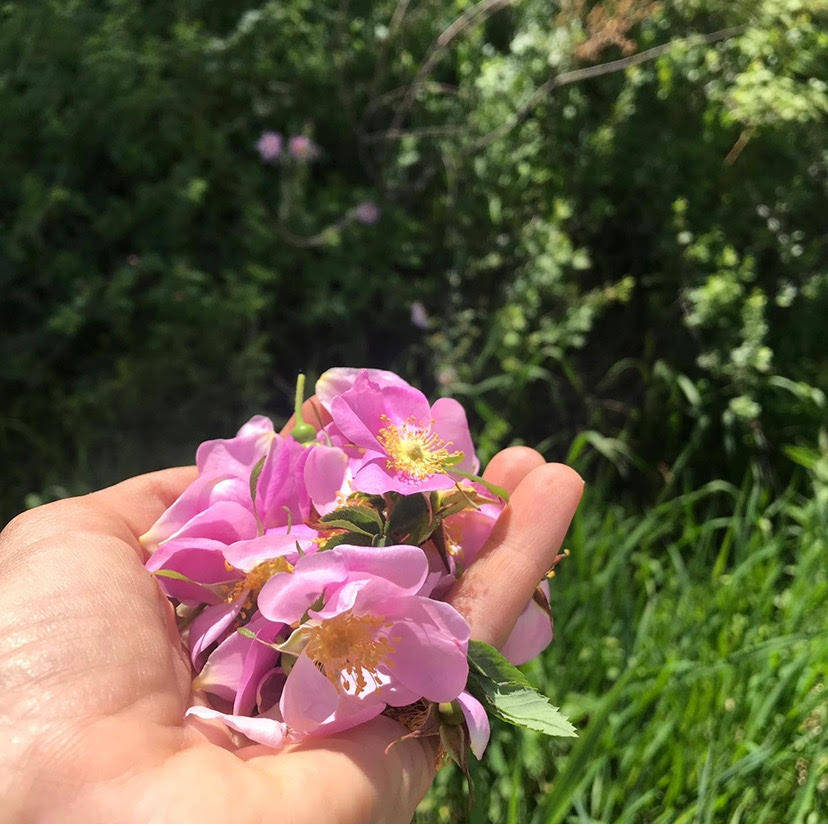 A Poem From Melissa – JUNIPERMIST